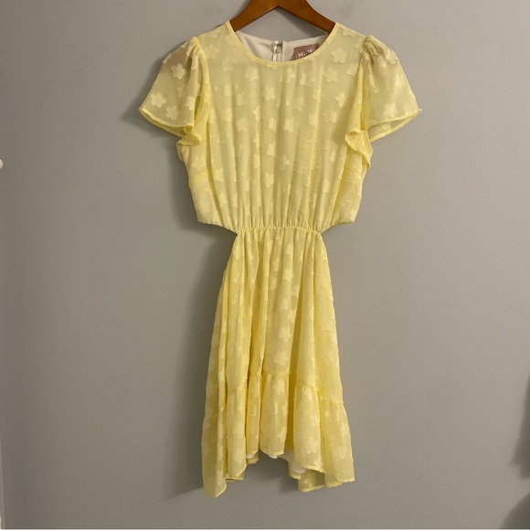 Show Me Your MuMu | Dresses | Nwt Show Me Your Mumu Merritt Mini Dress ...